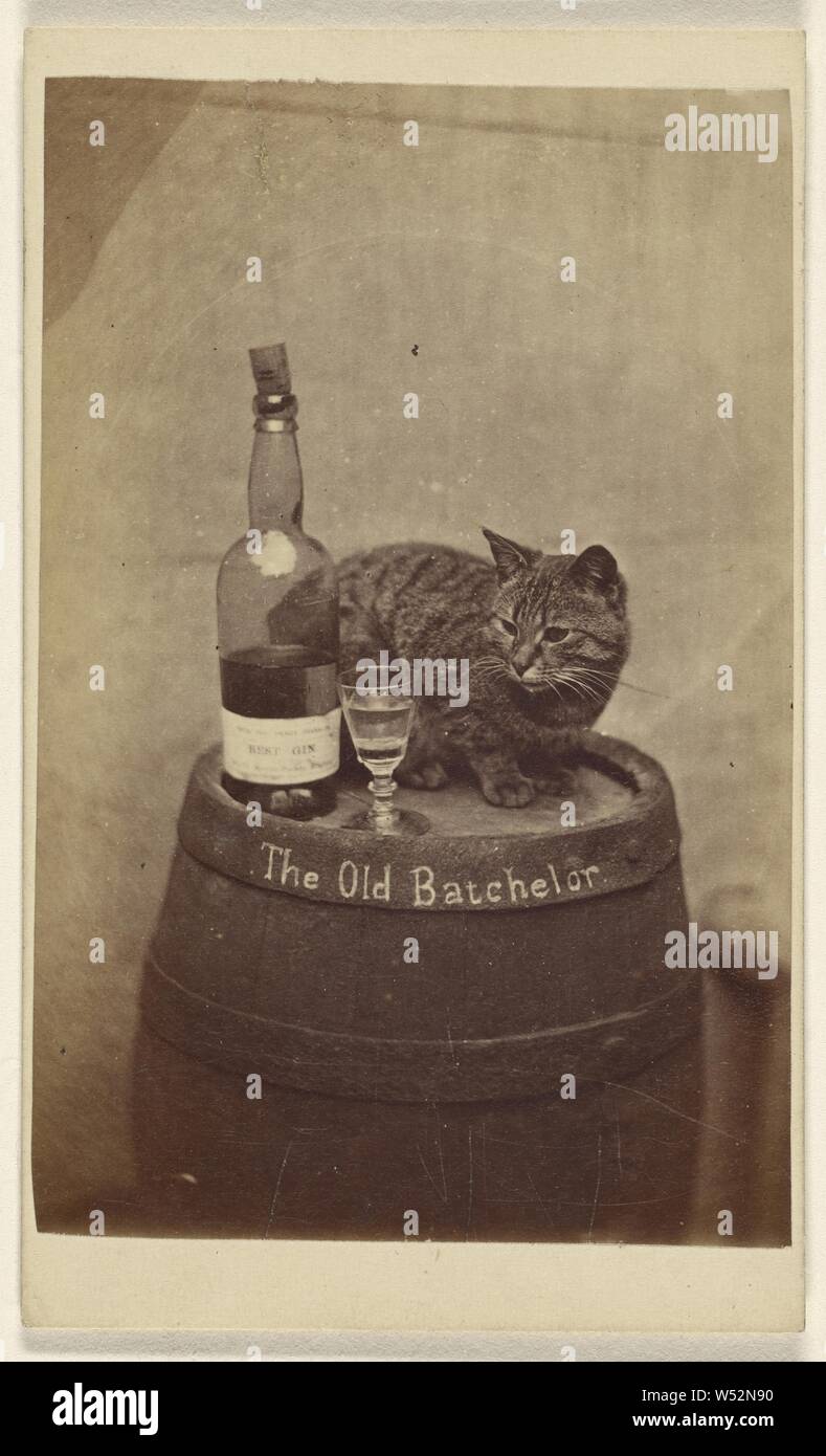 The Old Batchelor, Henry Pointer (British, 1822 - 1889), about 1865 ...