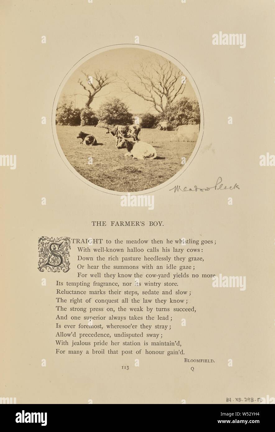 Pastoral scene with cattle resting in a field, England, William Grundy ...
