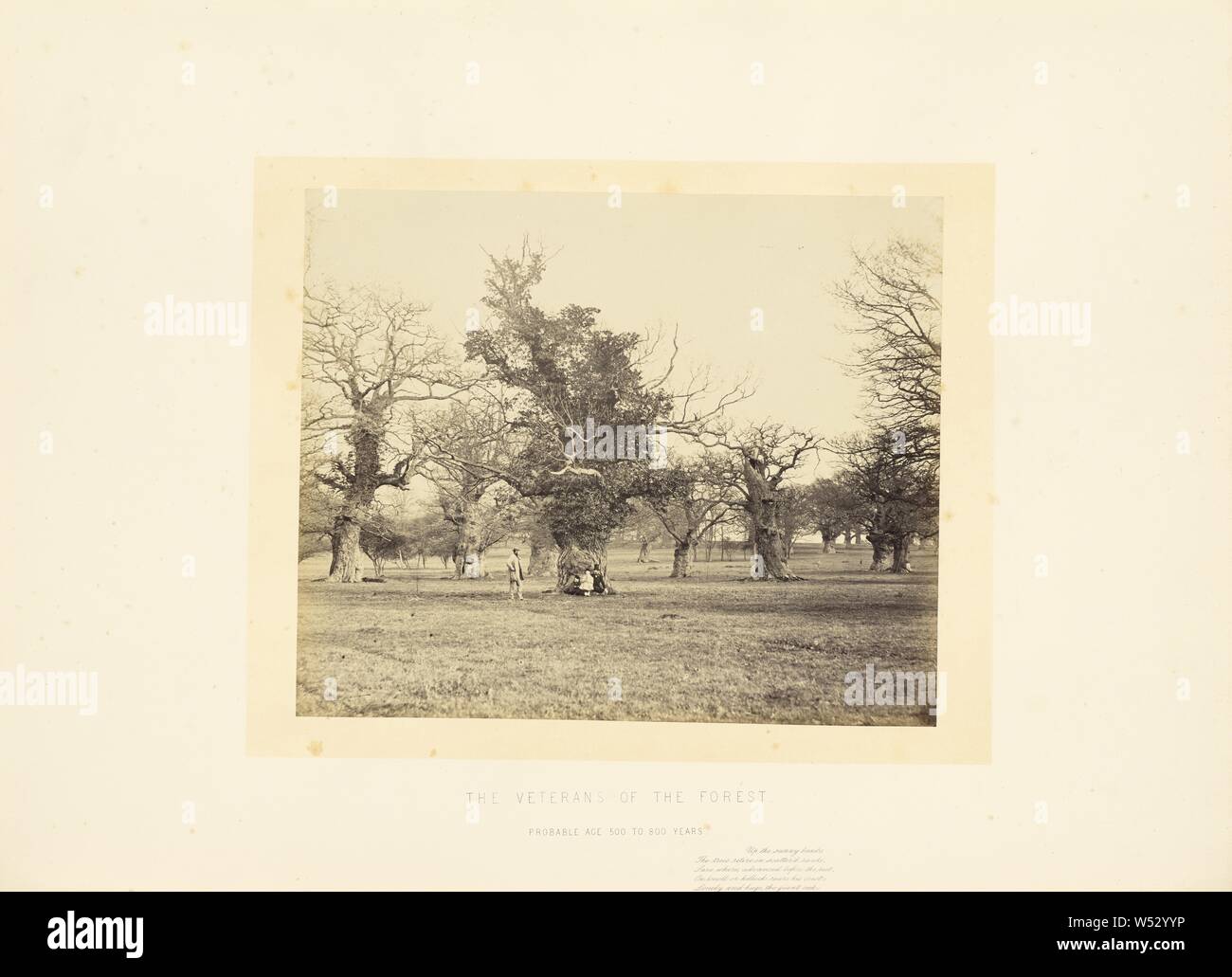 James sinclair hi-res stock photography and images - Alamy