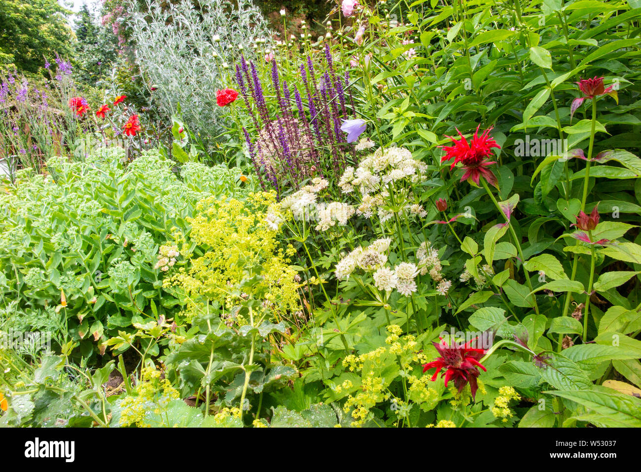A quintessential English cottage garden Stock Photo - Alamy