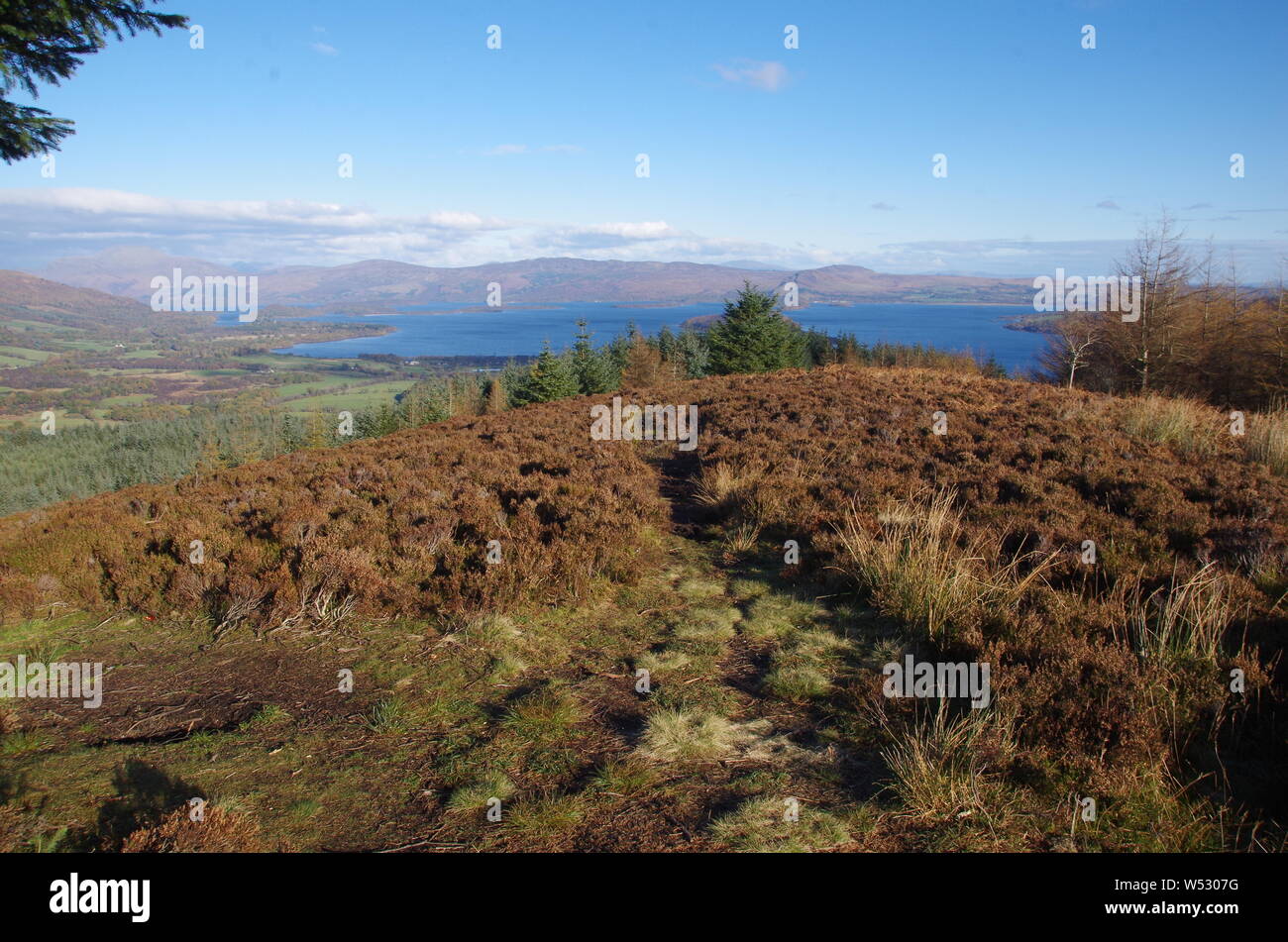 The Loch Lomond and Cowal Way. Cowal peninsula. Highlands. Scotland. UK ...