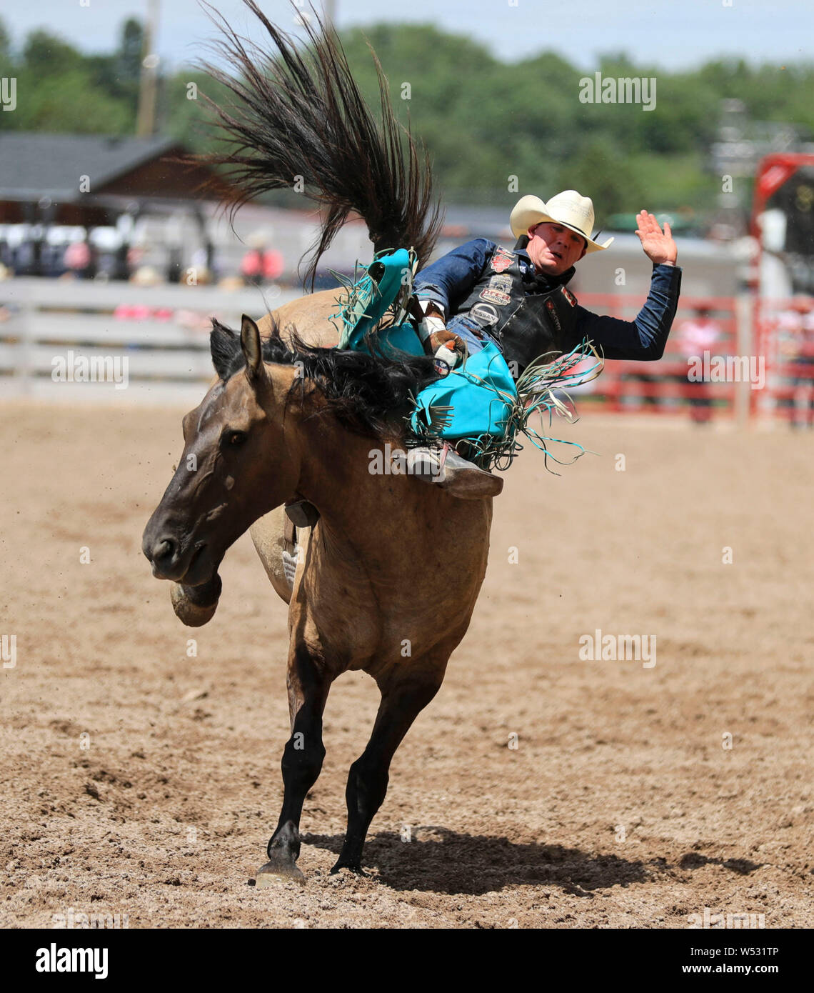 Cheyenne, USA. 25th July, 2019. A rider competes during the bareback ...