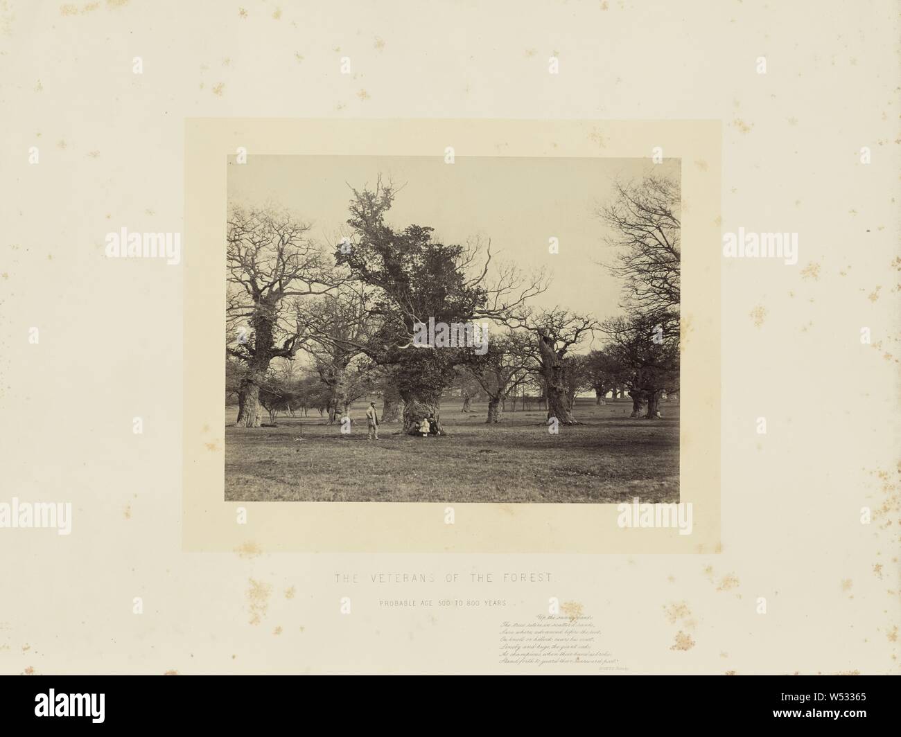 James sinclair hi-res stock photography and images - Alamy
