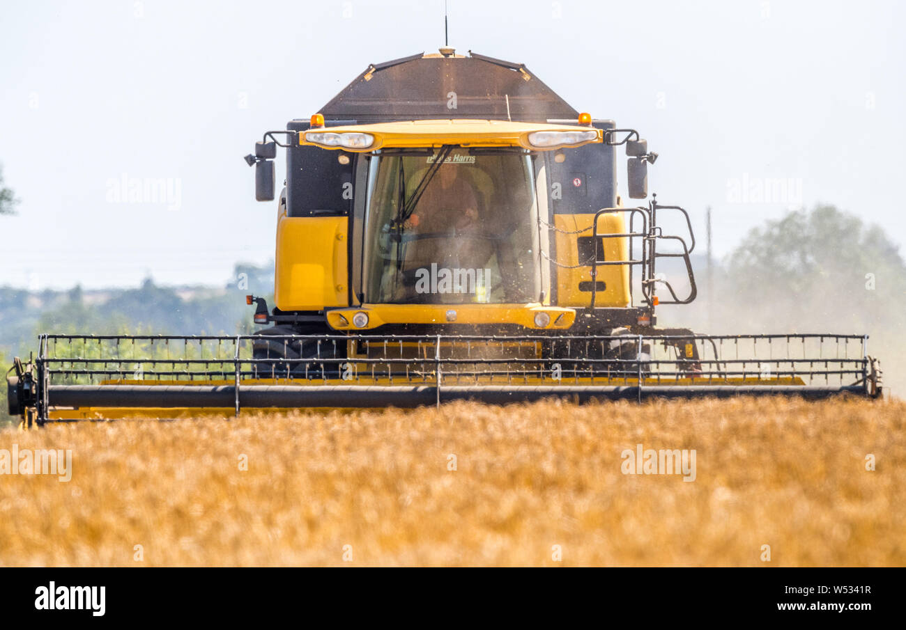 New Holland combine harvester harvesting a Barley crop Stock Photo - Alamy