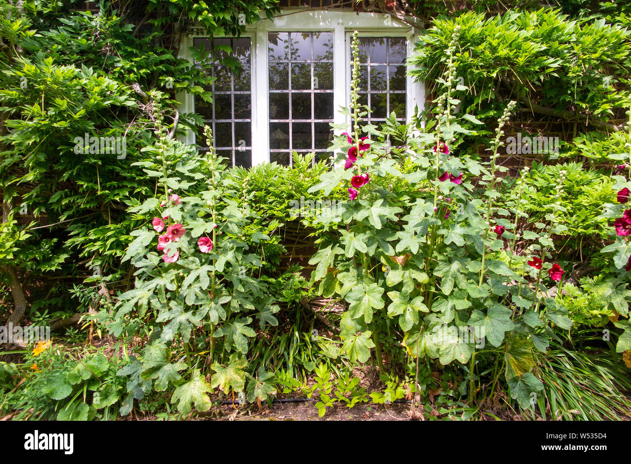 A quintessential English cottage garden Stock Photo - Alamy