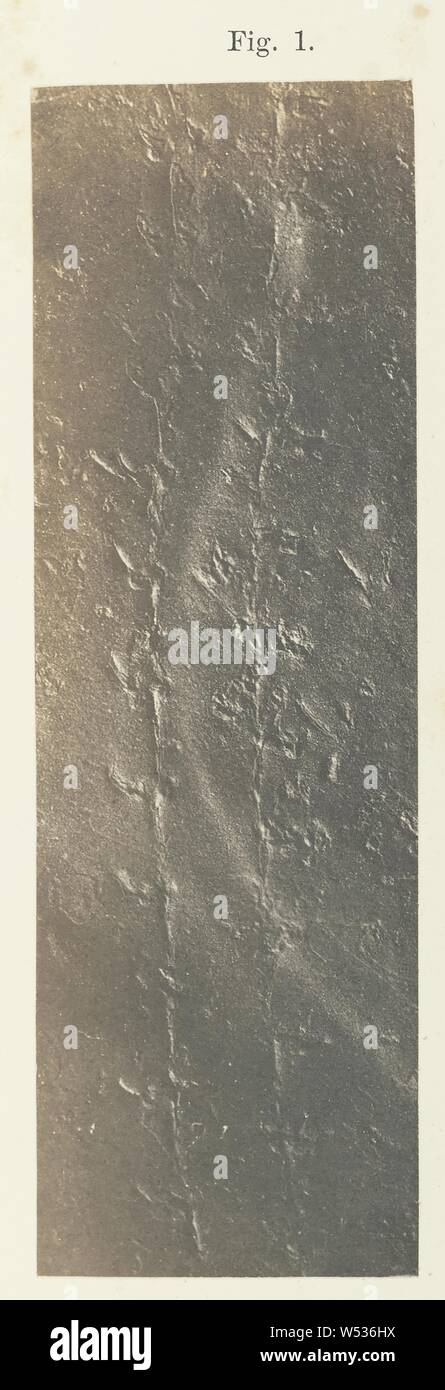 Plate 41 figure 1 hi-res stock photography and images - Alamy