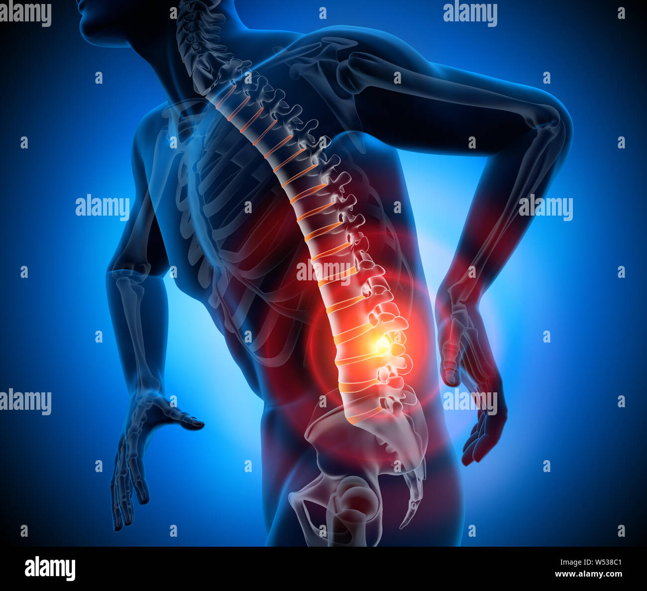 3d spine hi-res stock photography and images - Alamy
