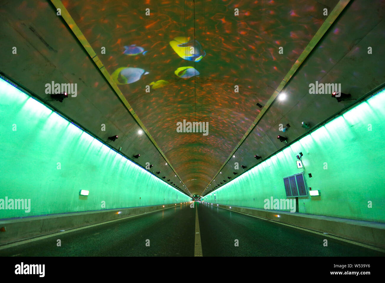 Interior view of the Huangjiawuji Tunnel of the Liupanshui-Weining ...