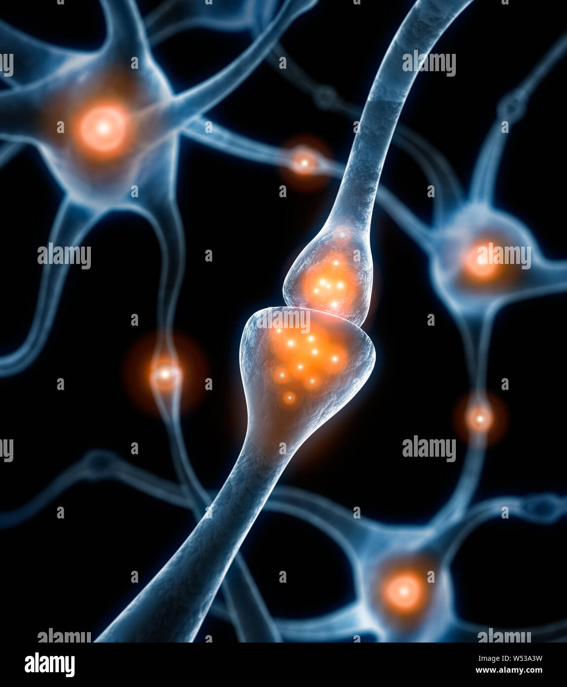 Memory brain synapses hi-res stock photography and images - Alamy