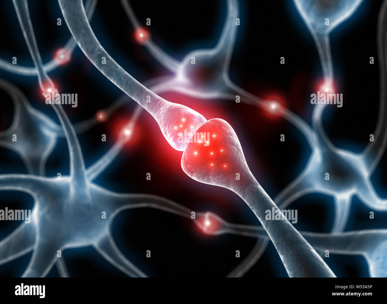 Brain Neuron Synapses Stock Photos & Brain Neuron Synapses Stock Images ...