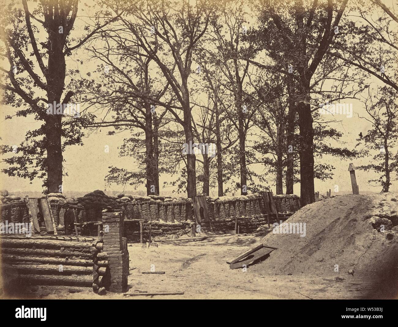 Timothy steadman hi-res stock photography and images - Alamy