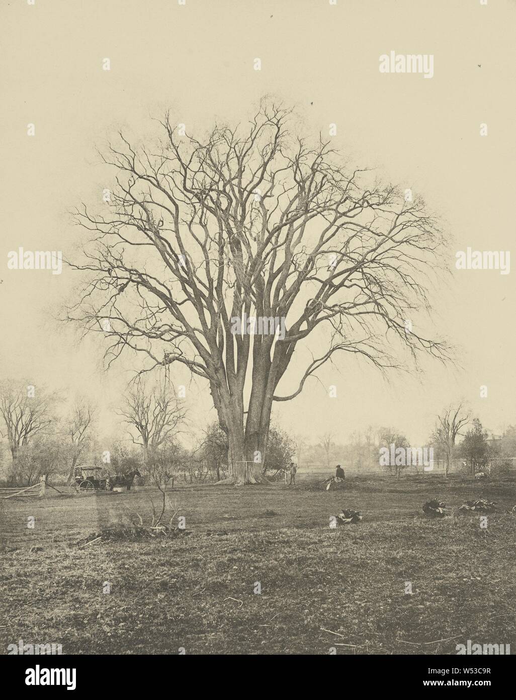 Lancaster henry of hi-res stock photography and images - Alamy