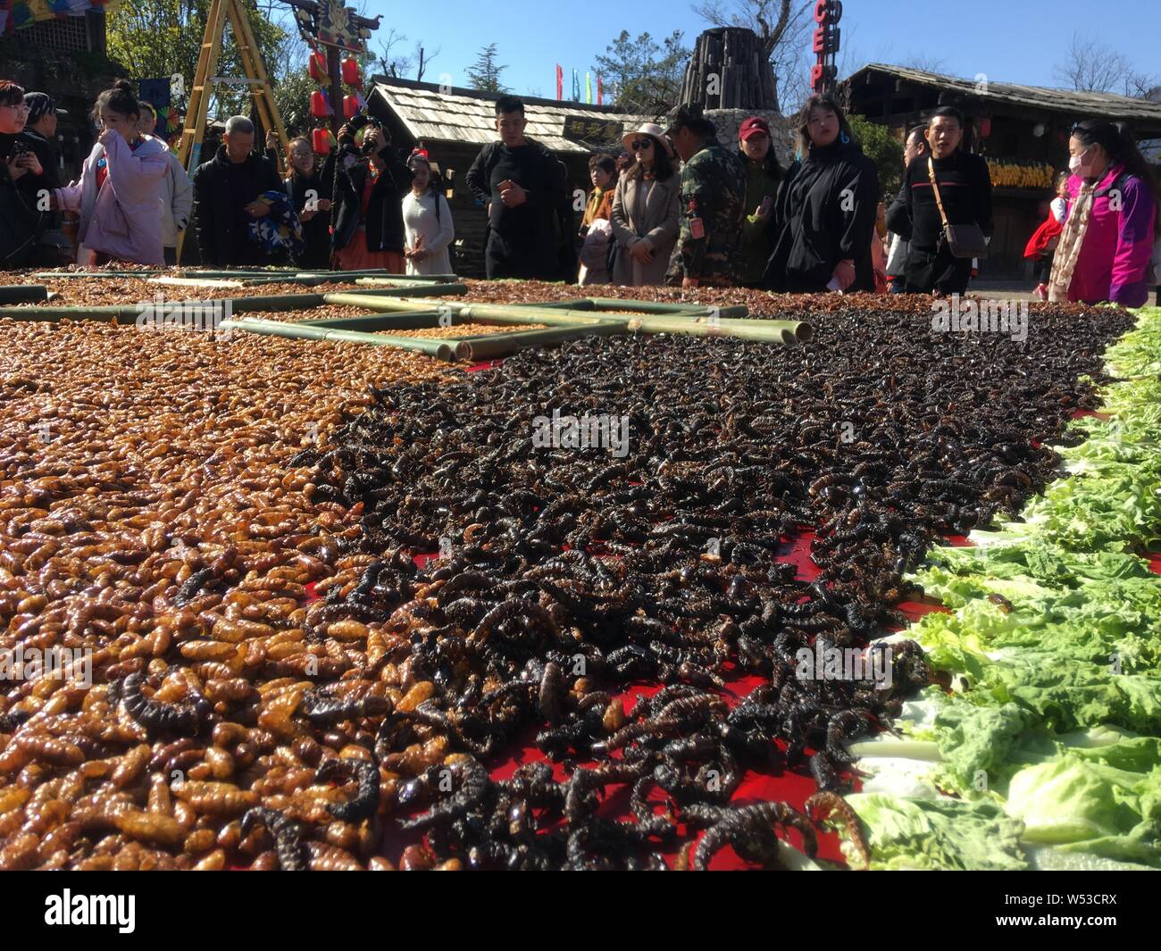 Tourists enjoy a ton of deep-fried insects, including bamboo worms ...