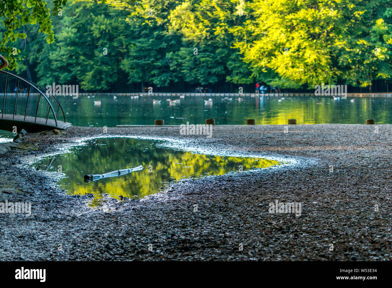 Puddle Rain Reflection In Front High Resolution Stock Photography and ...