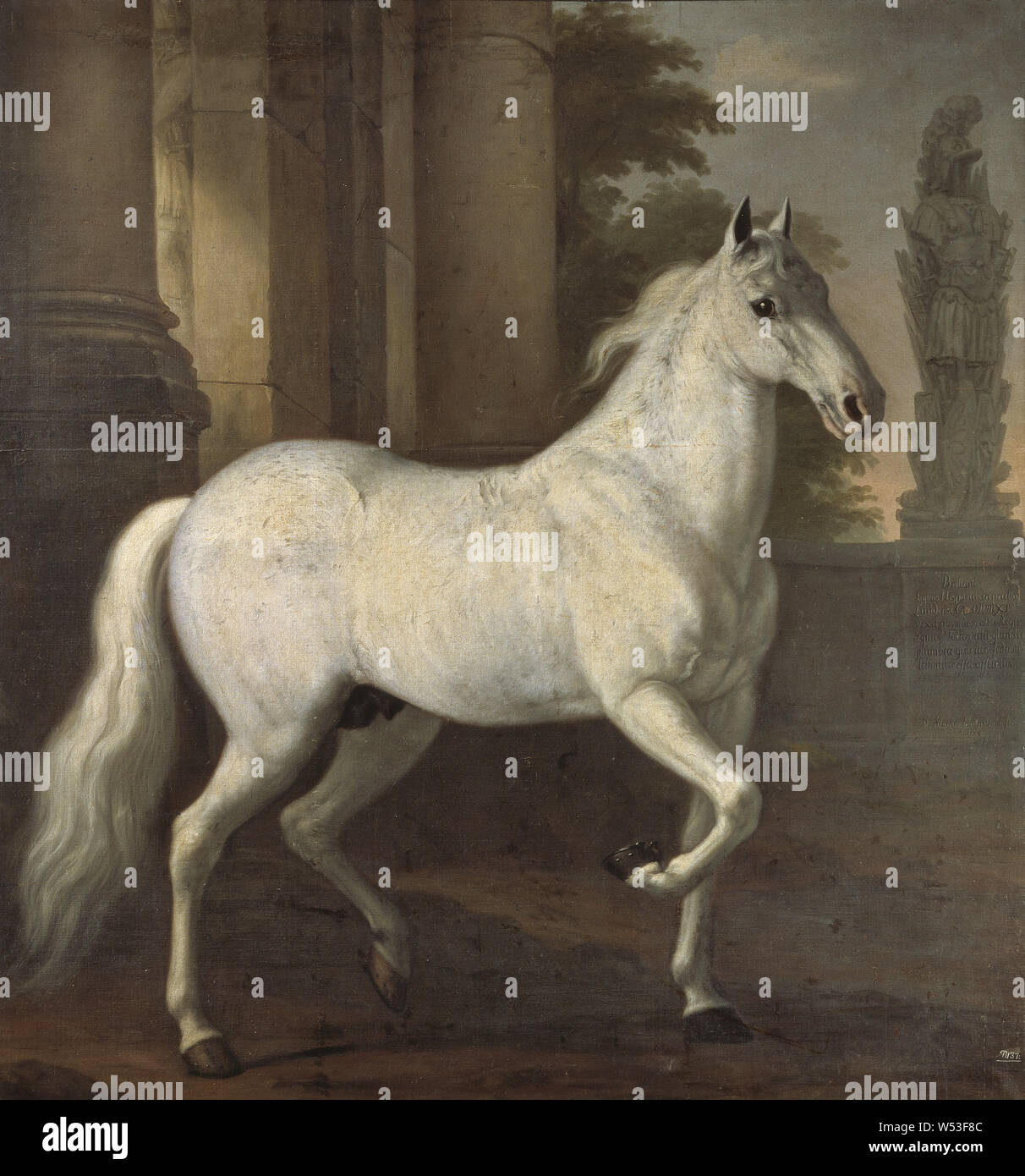 Karl xis life horse brilliant hi-res stock photography and images - Alamy