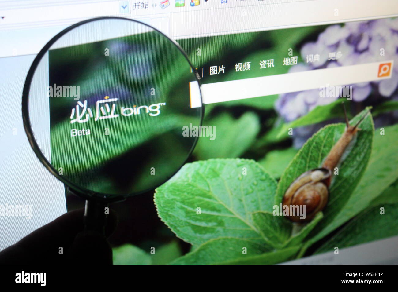 --FILE--A Chinese netizen browses the Bing search engine of Microsoft ...