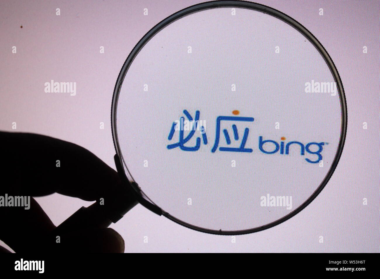 --FILE--A Chinese netizen browses the Bing search engine of Microsoft ...