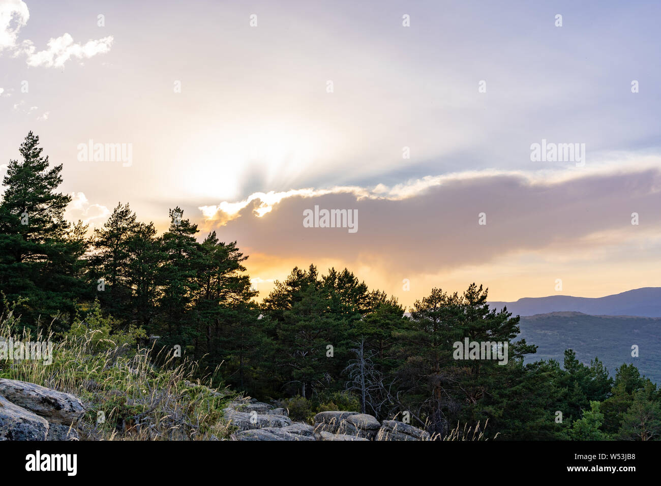 Mountain forest in a beautiful sunset Stock Photo - Alamy