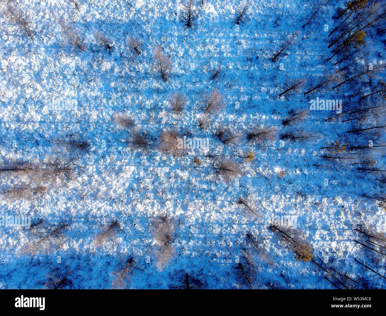 Landscape of snow-covered forests at the Greater Khingan Mountain Range ...