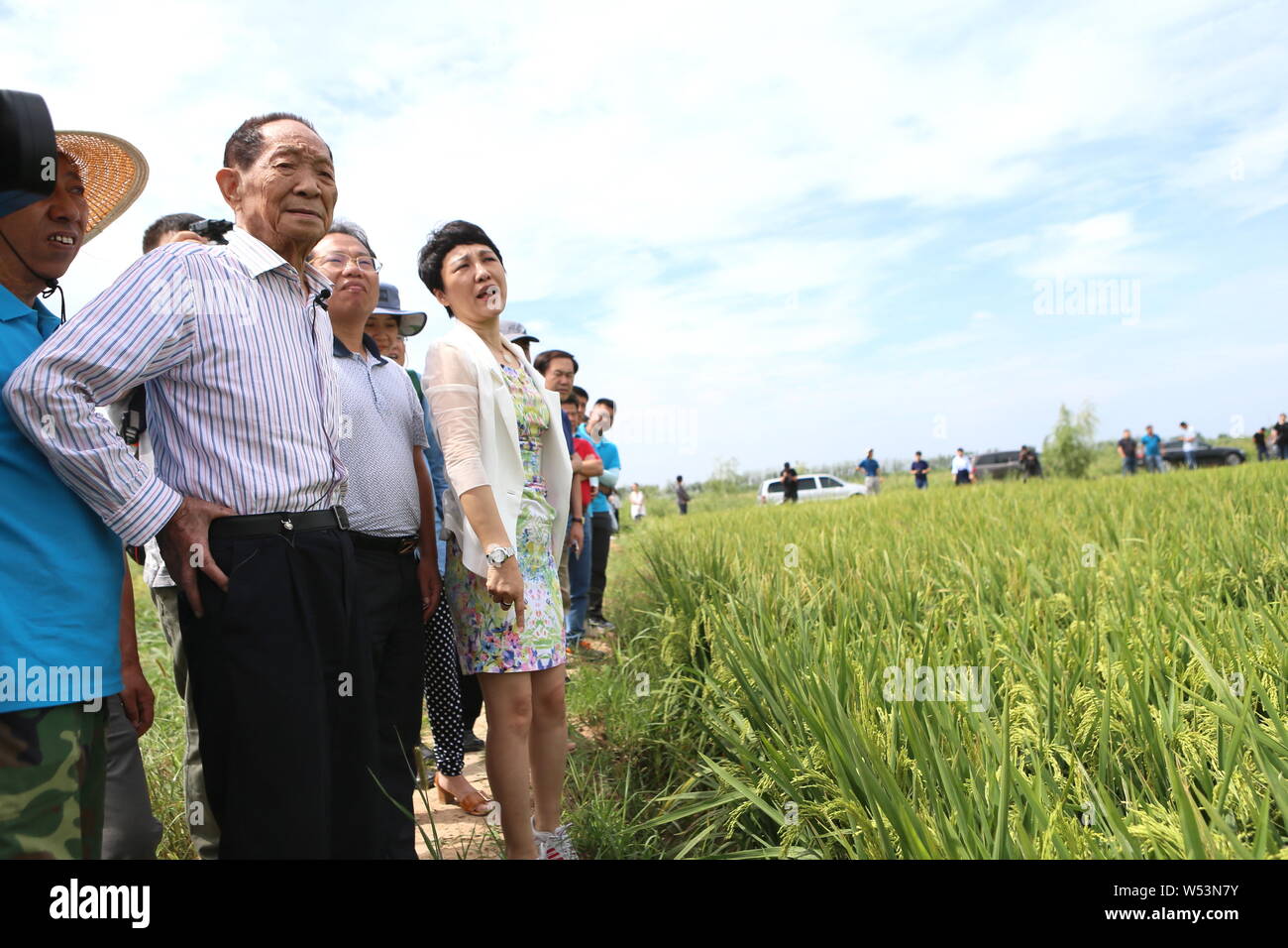 --FILE--Chinese scientist Yuan Longping, known as the Father of Hybrid ...