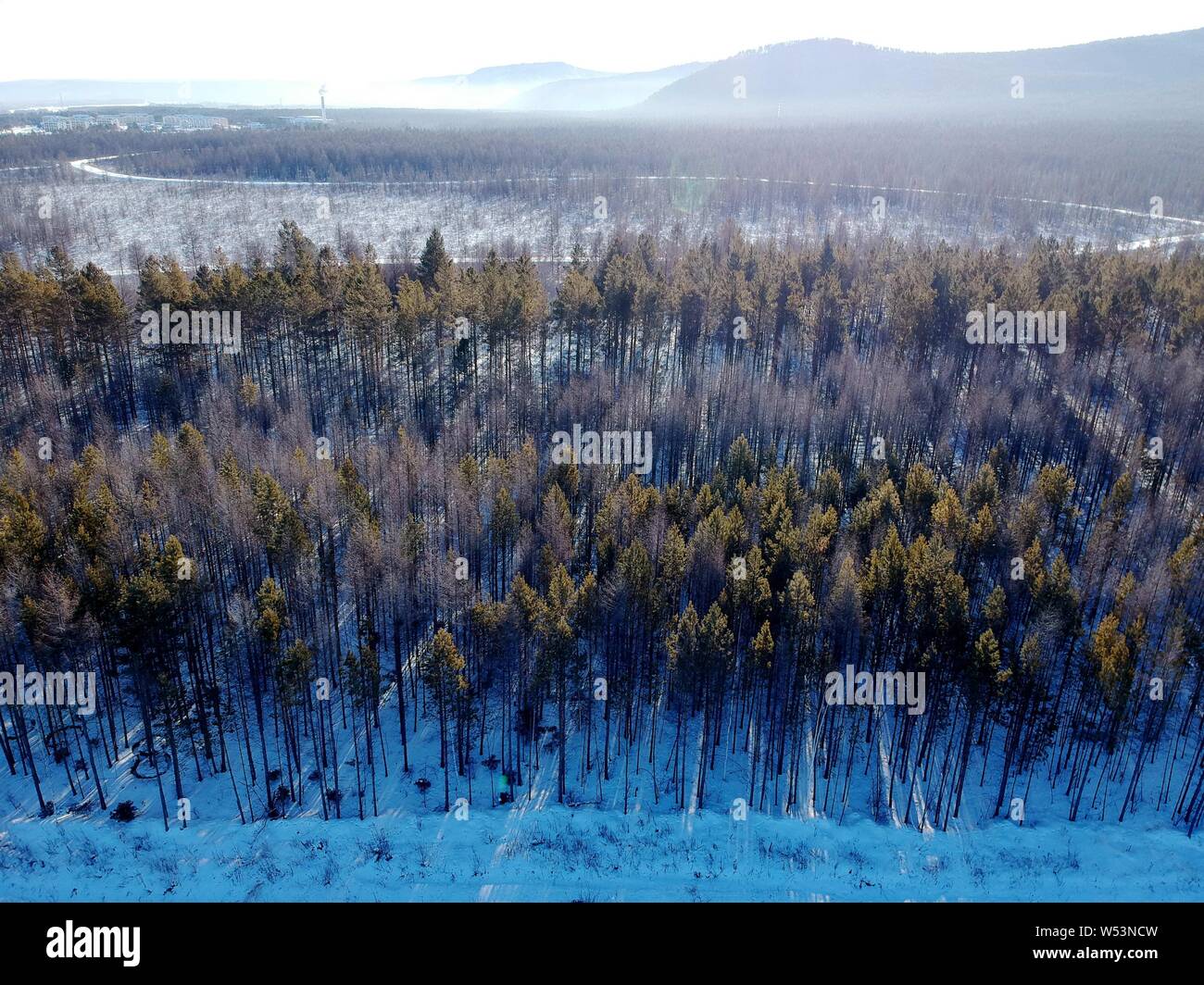 Landscape of snow-covered forests at the Greater Khingan Mountain Range ...