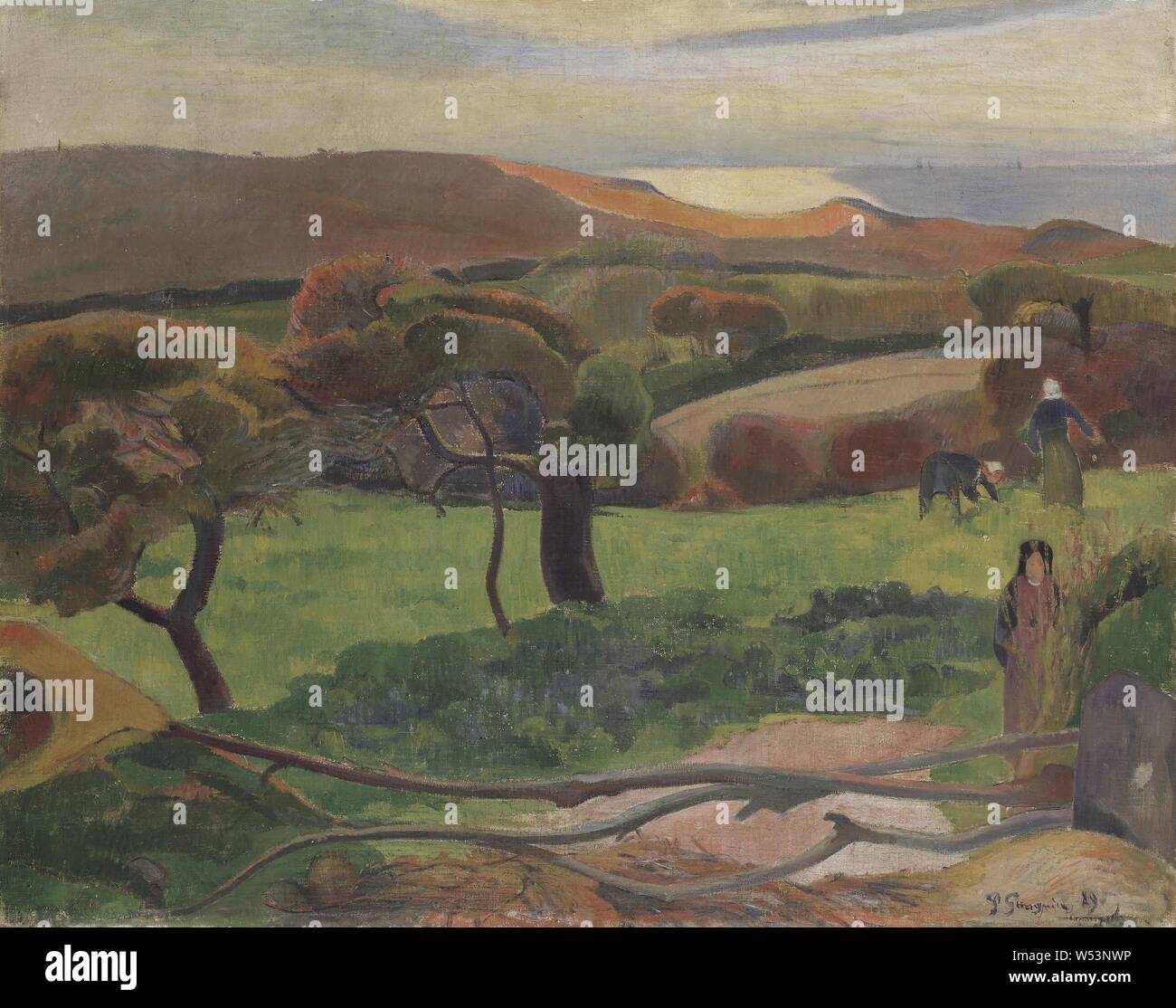 Paul Gauguin, French, Les Champs au bord de la mer, Landscape from ...