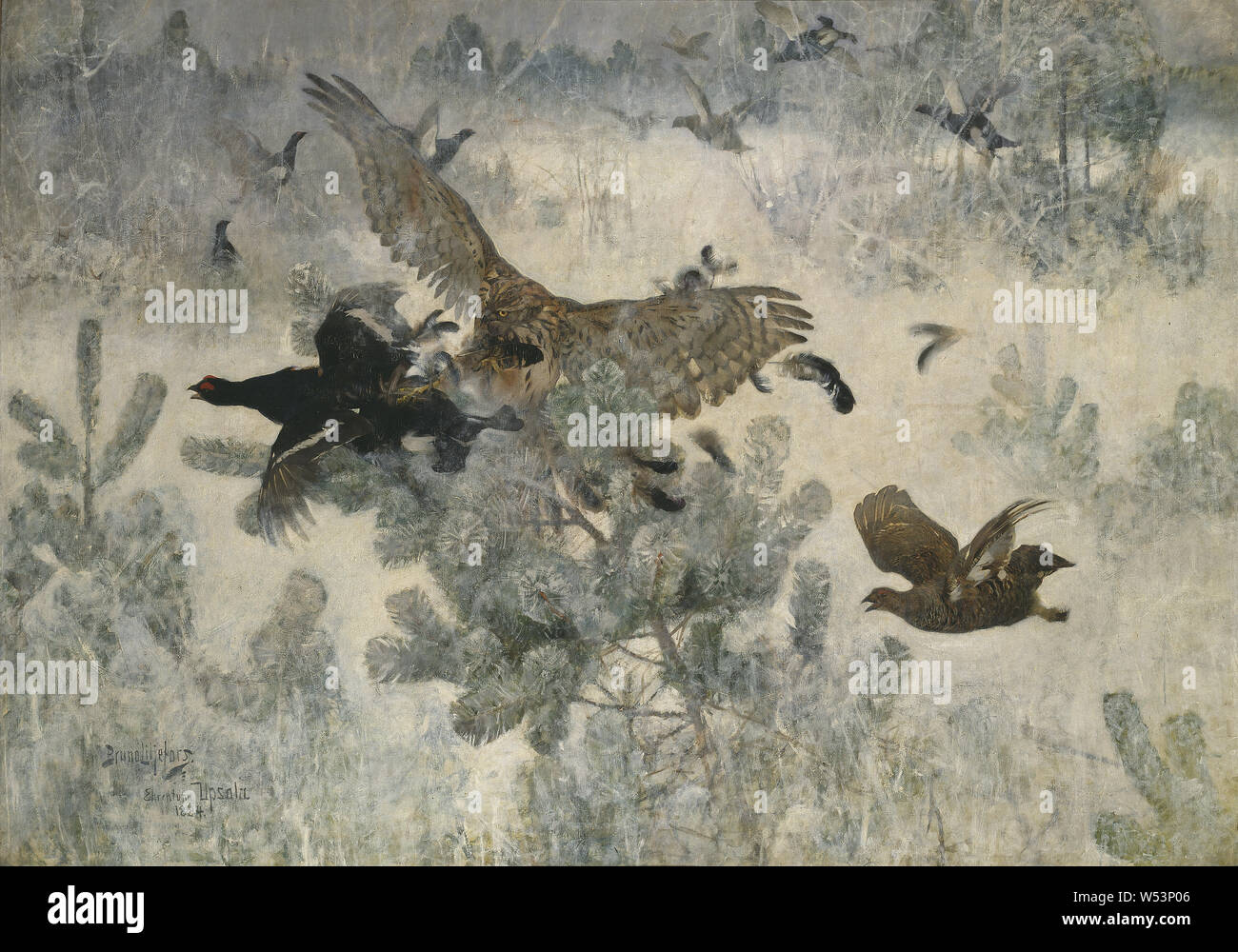 Hawk and dove hi-res stock photography and images - Alamy