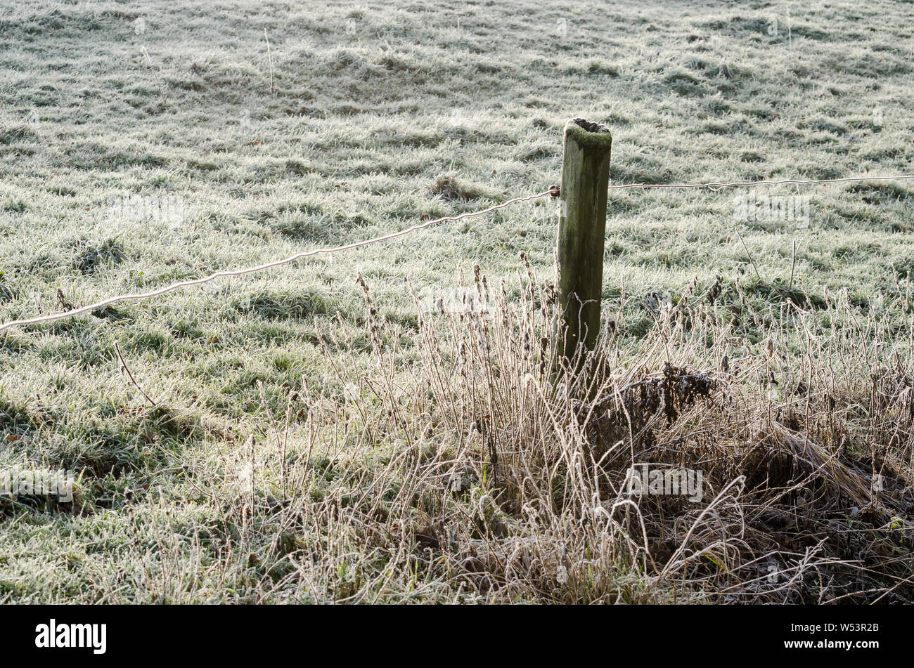 Frozen paddock hi-res stock photography and images - Alamy
