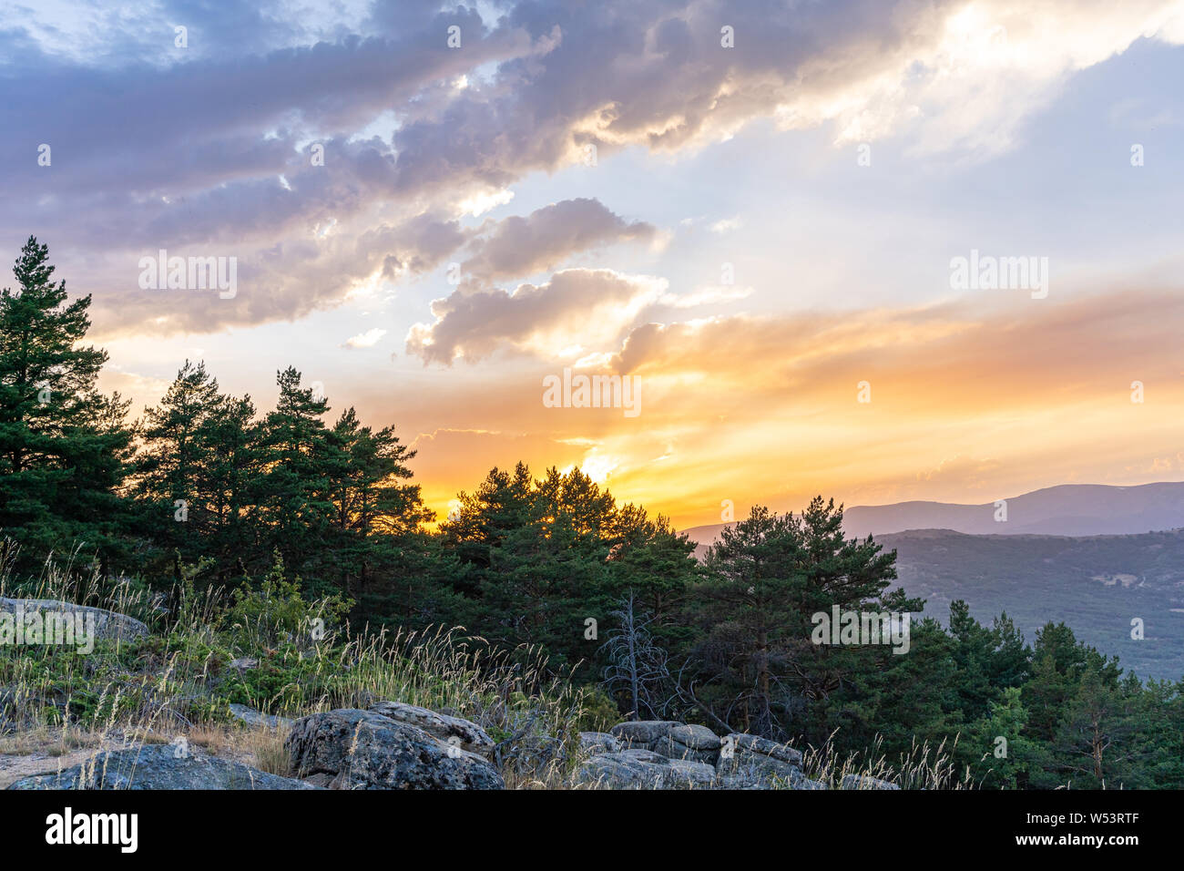 Mountain forest in a beautiful sunset Stock Photo - Alamy