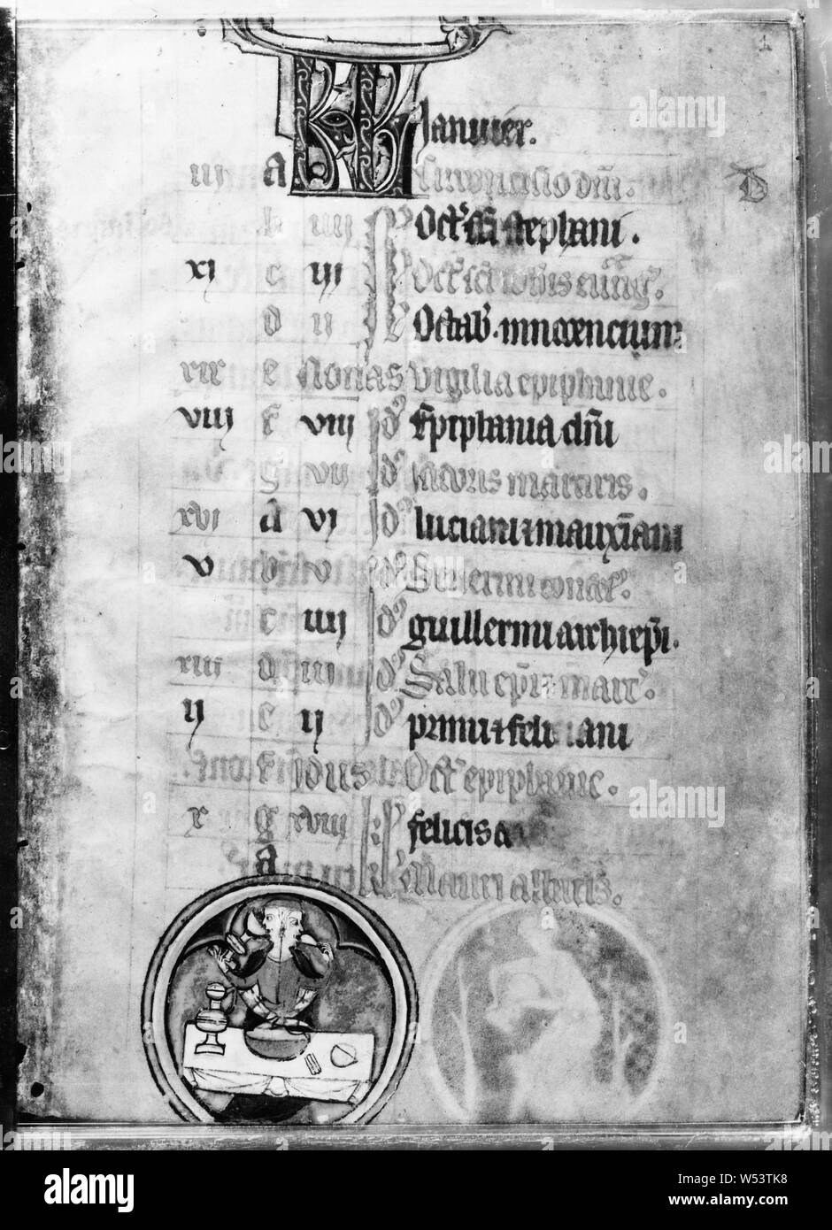 Bladderbar hi-res stock photography and images - Alamy