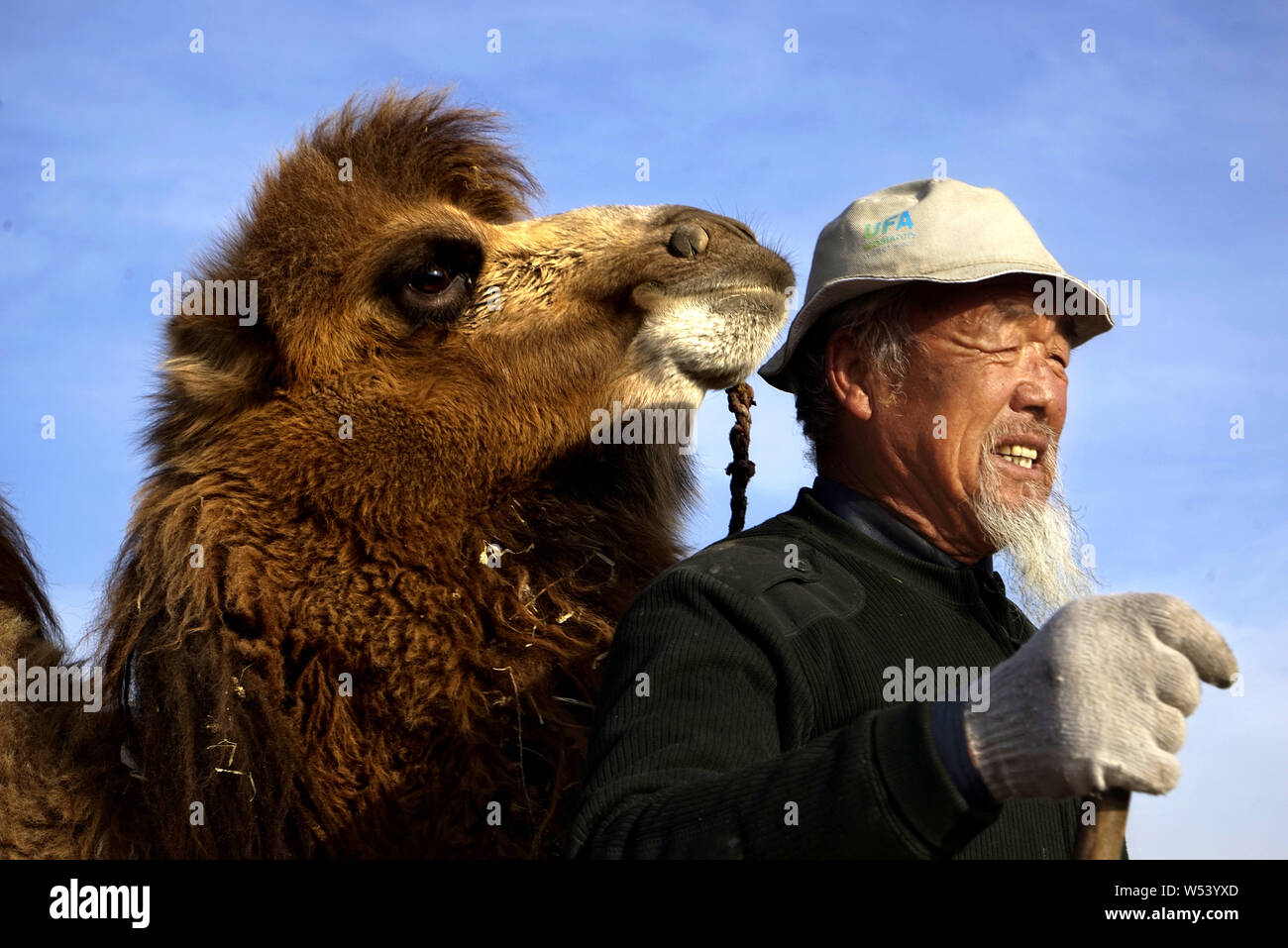 Wang tianchang hi-res stock photography and images - Alamy