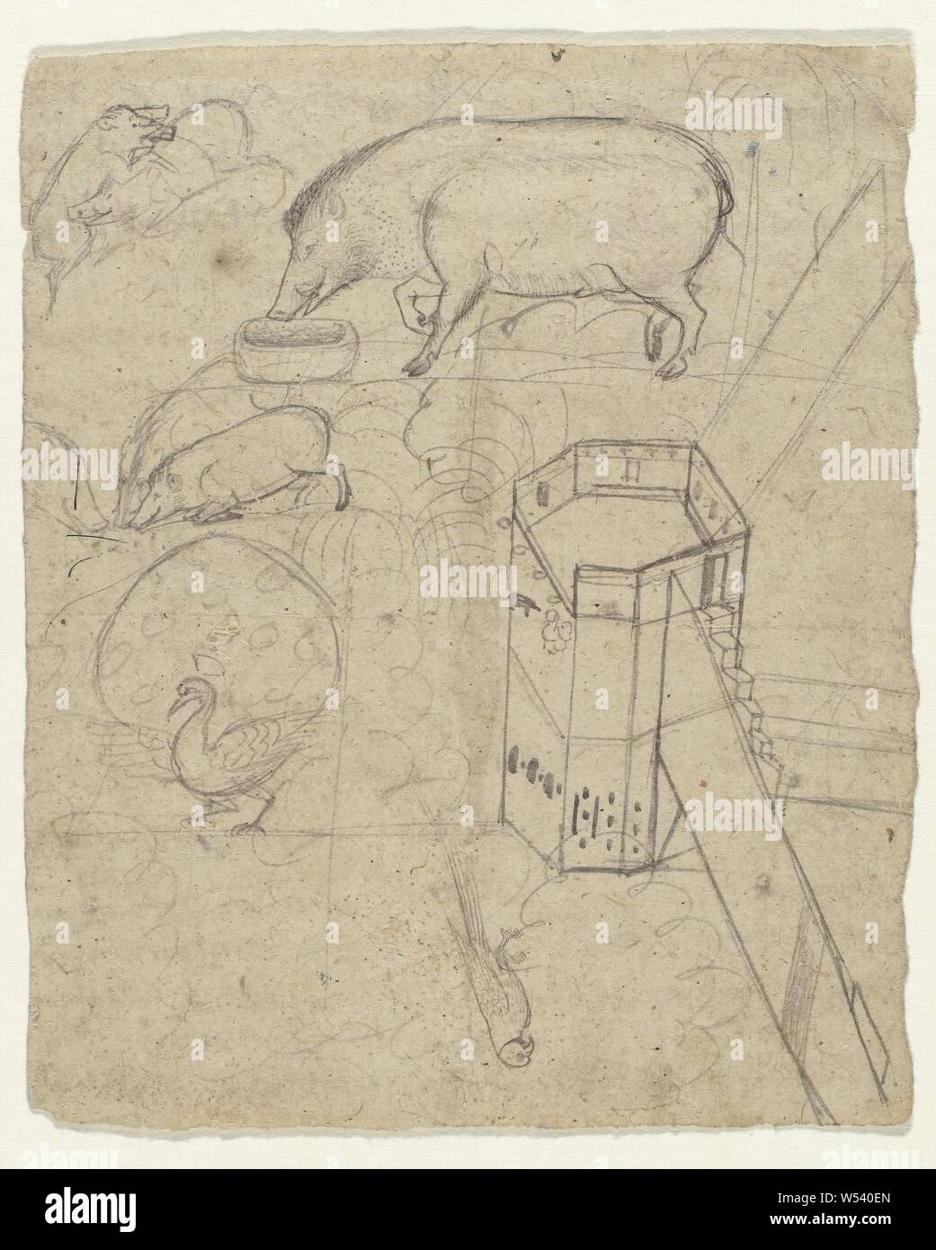 Some studies of pigs, a peacock, a parrot and a tower, Sketch sheet ...