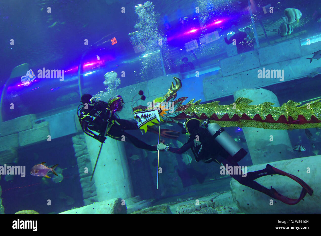 Divers perform an underwater dragon dance in a show for the upcoming ...