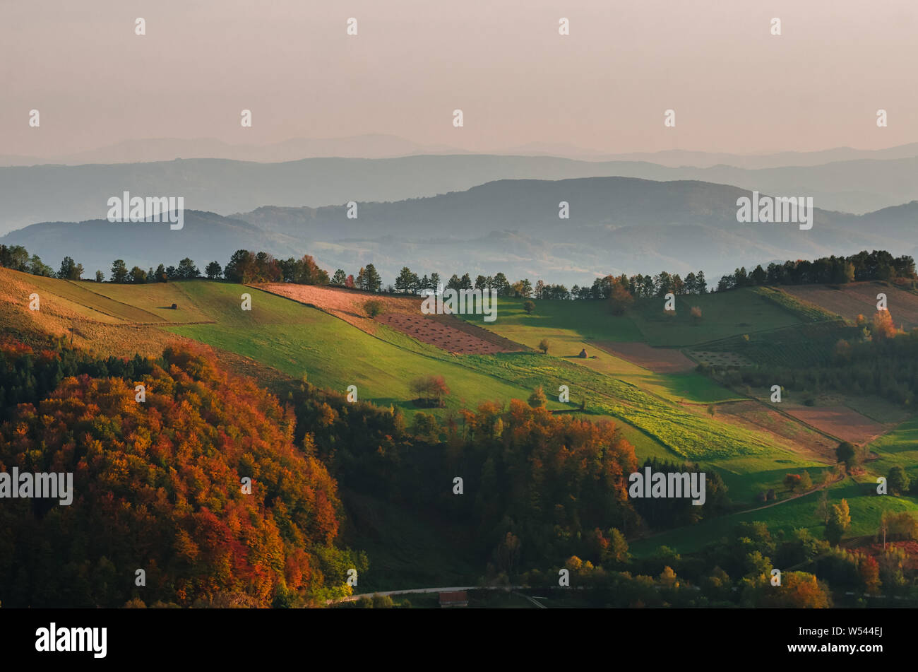 Fields on a farm in western Serbia Stock Photo - Alamy