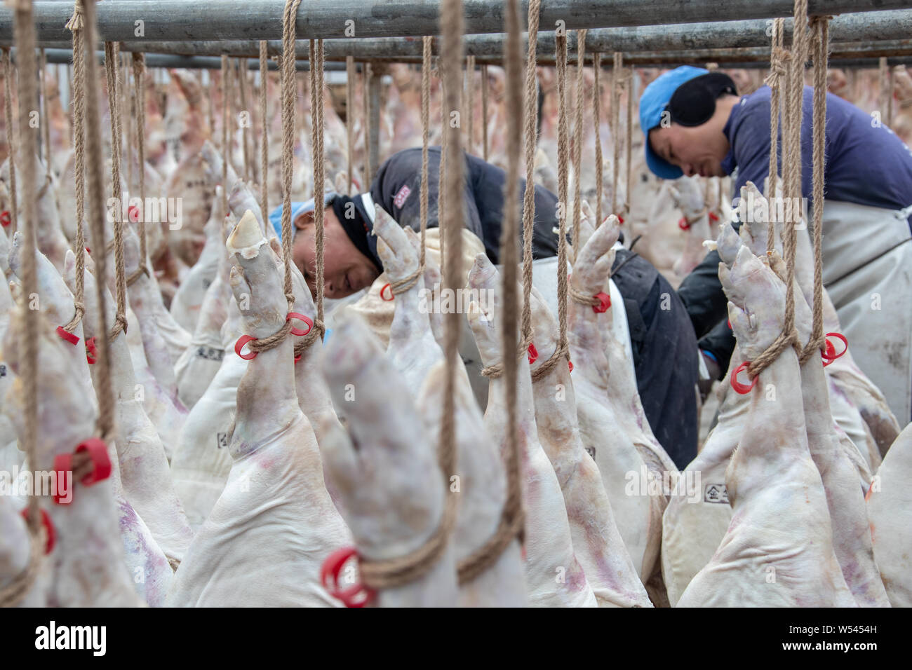 Chinese workers air traditional hams at a factory in Jinhua city, east ...