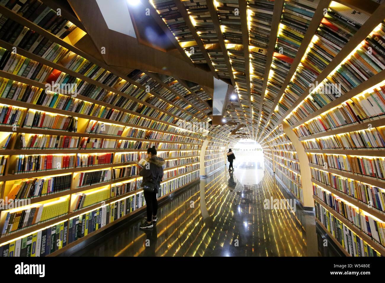 Interior view of the "Reader Channel" filled with books in the college ...