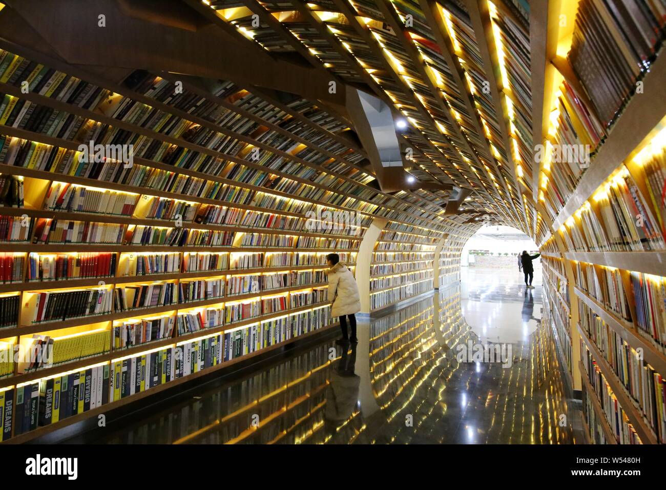 Interior view of the "Reader Channel" filled with books in the college ...