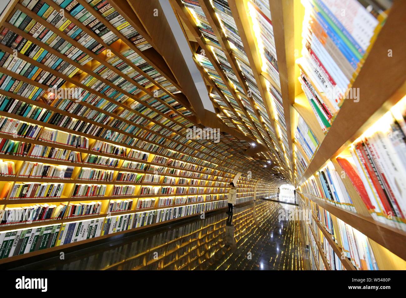 Interior view of the "Reader Channel" filled with books in the college ...