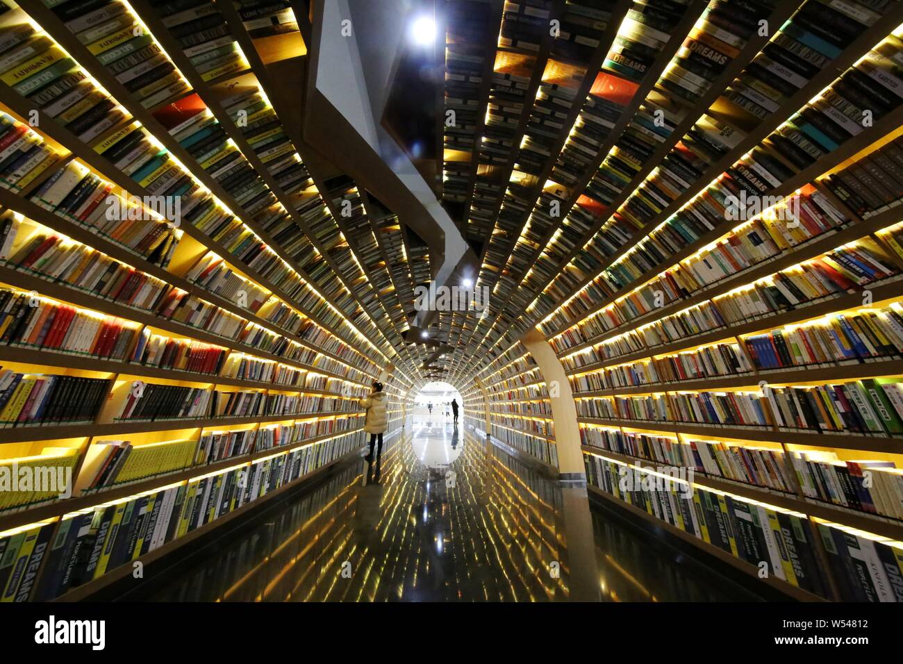 Interior view of the "Reader Channel" filled with books in the college ...
