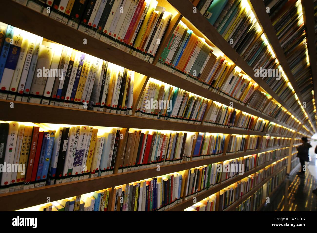 Interior view of the "Reader Channel" filled with books in the college ...