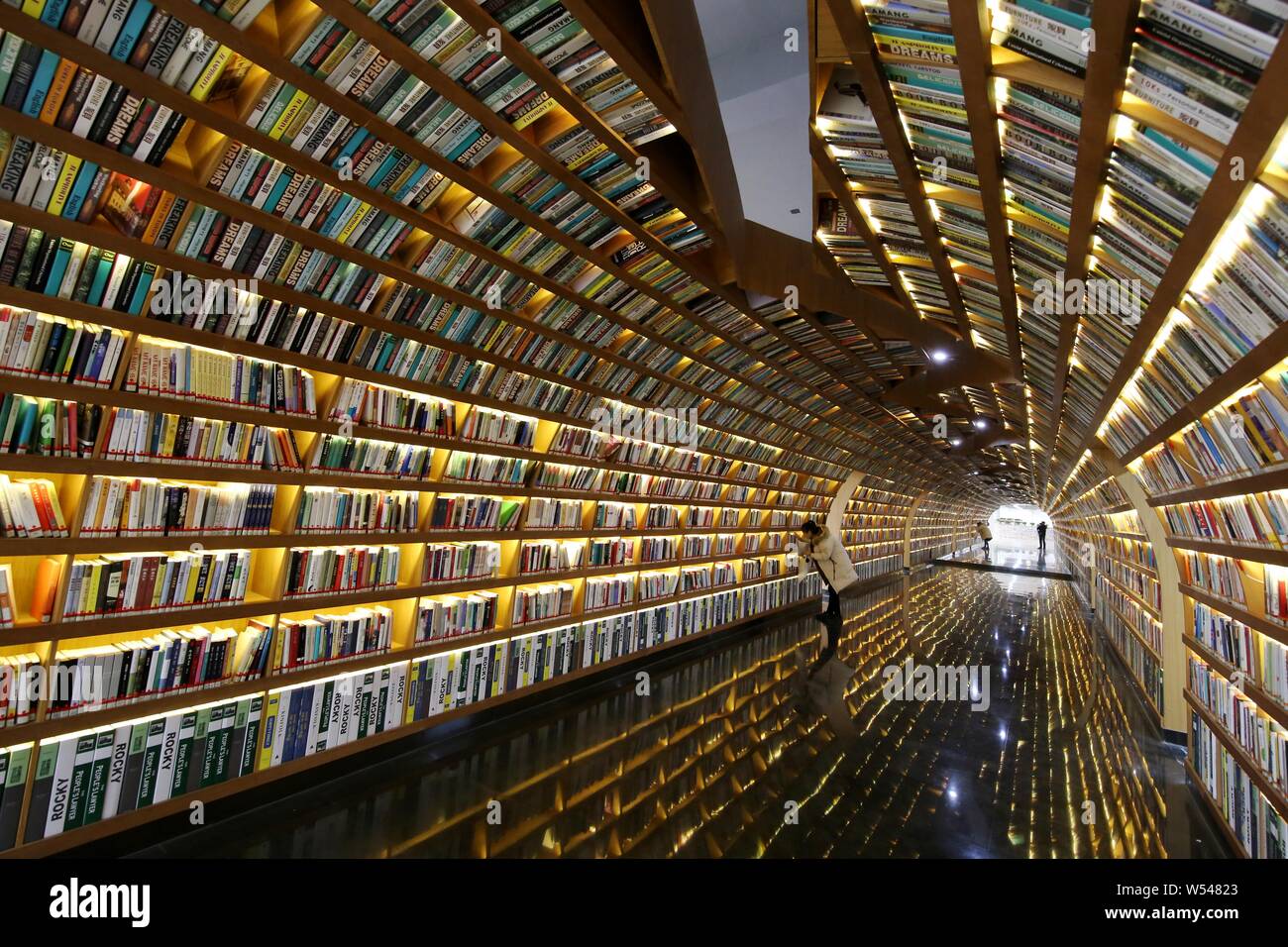 Interior view of the "Reader Channel" filled with books in the college ...