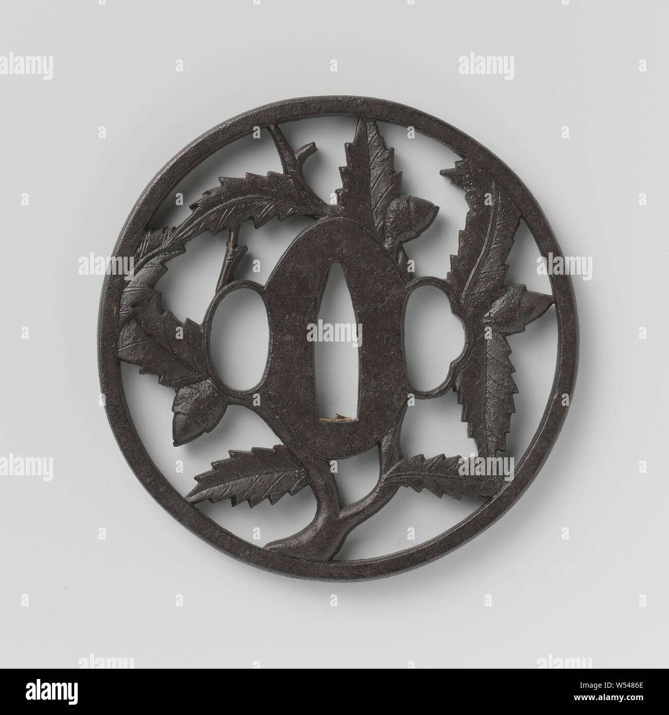 Six acorns hi-res stock photography and images - Alamy