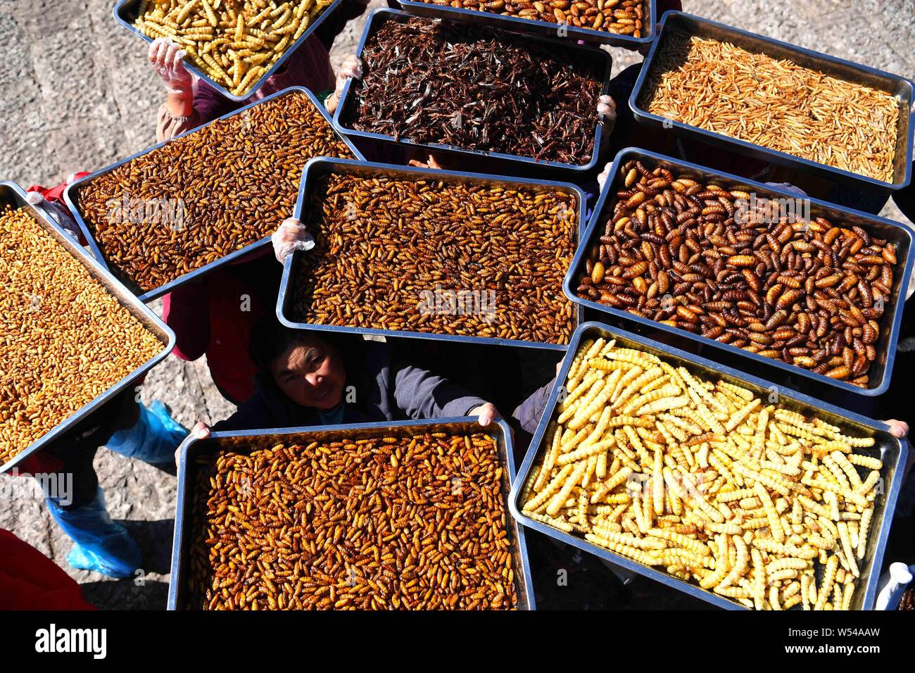 Tourists enjoy a ton of deep-fried insects, including bamboo worms ...