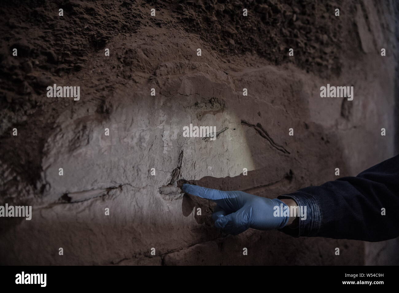 Chinese researcher Wu Fasi from Dunhuang Academy shows the plant root ...