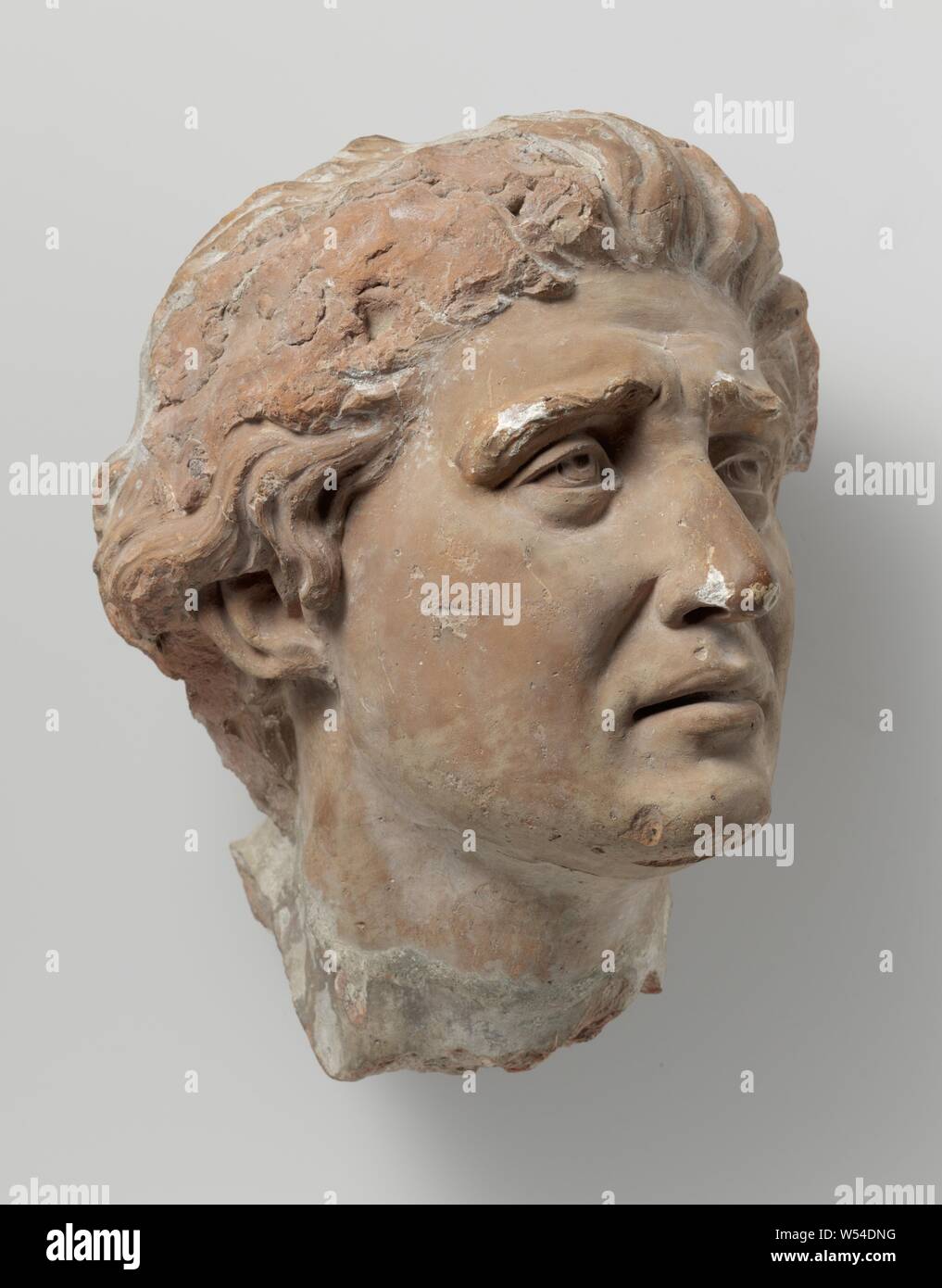 Shee head hi-res stock photography and images - Alamy