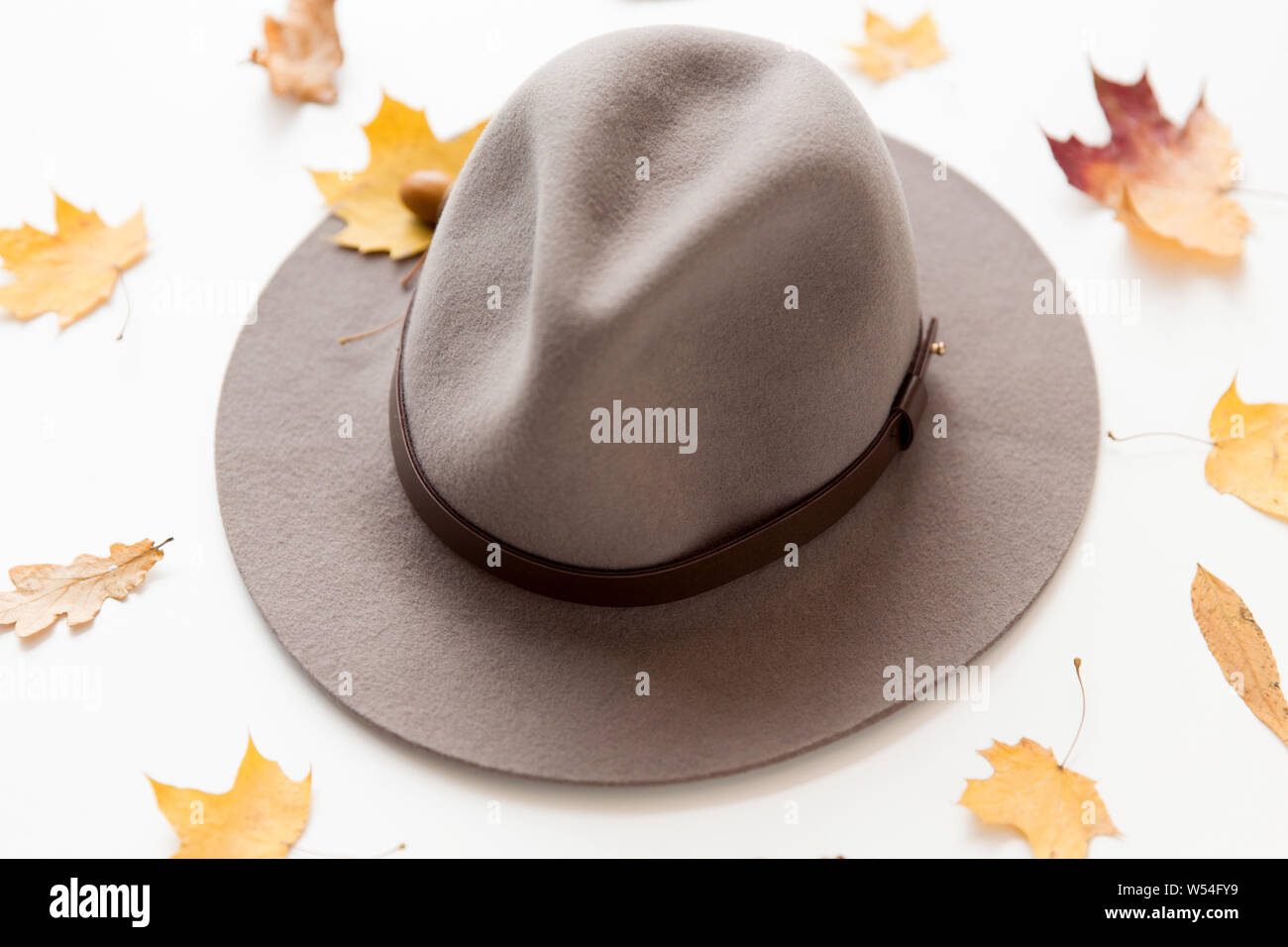 hat and fallen autumn leaves on white background Stock Photo - Alamy