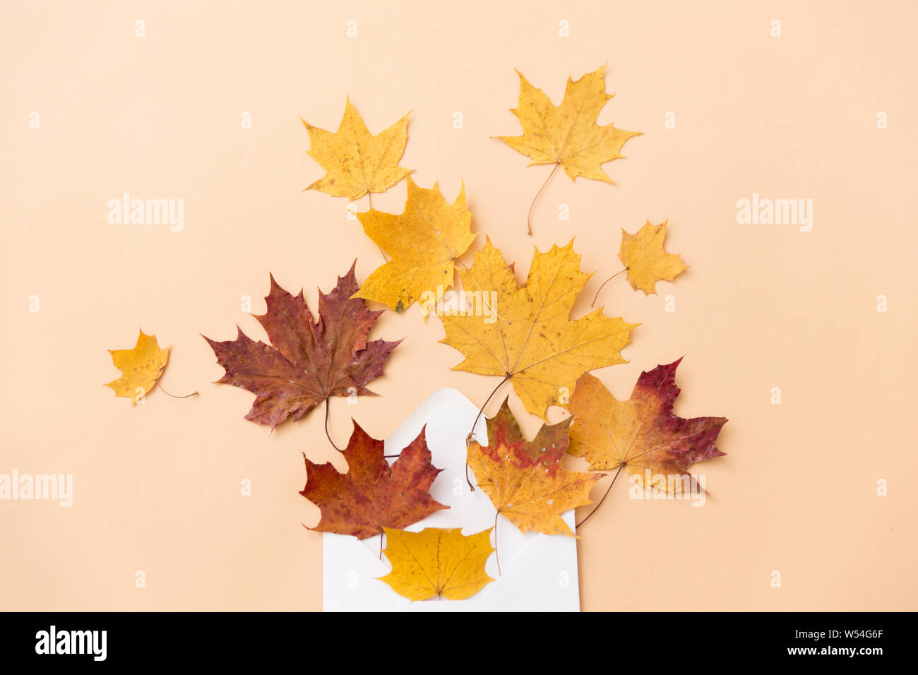 Envelope mail leaves hi-res stock photography and images - Alamy