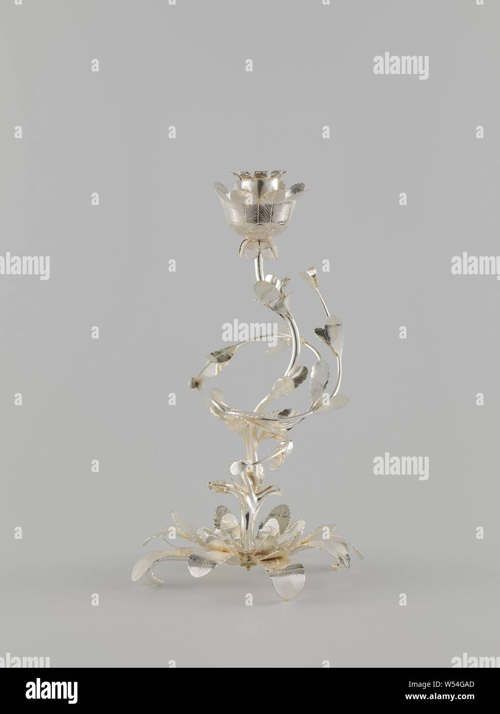 Three winding branches hi-res stock photography and images - Alamy