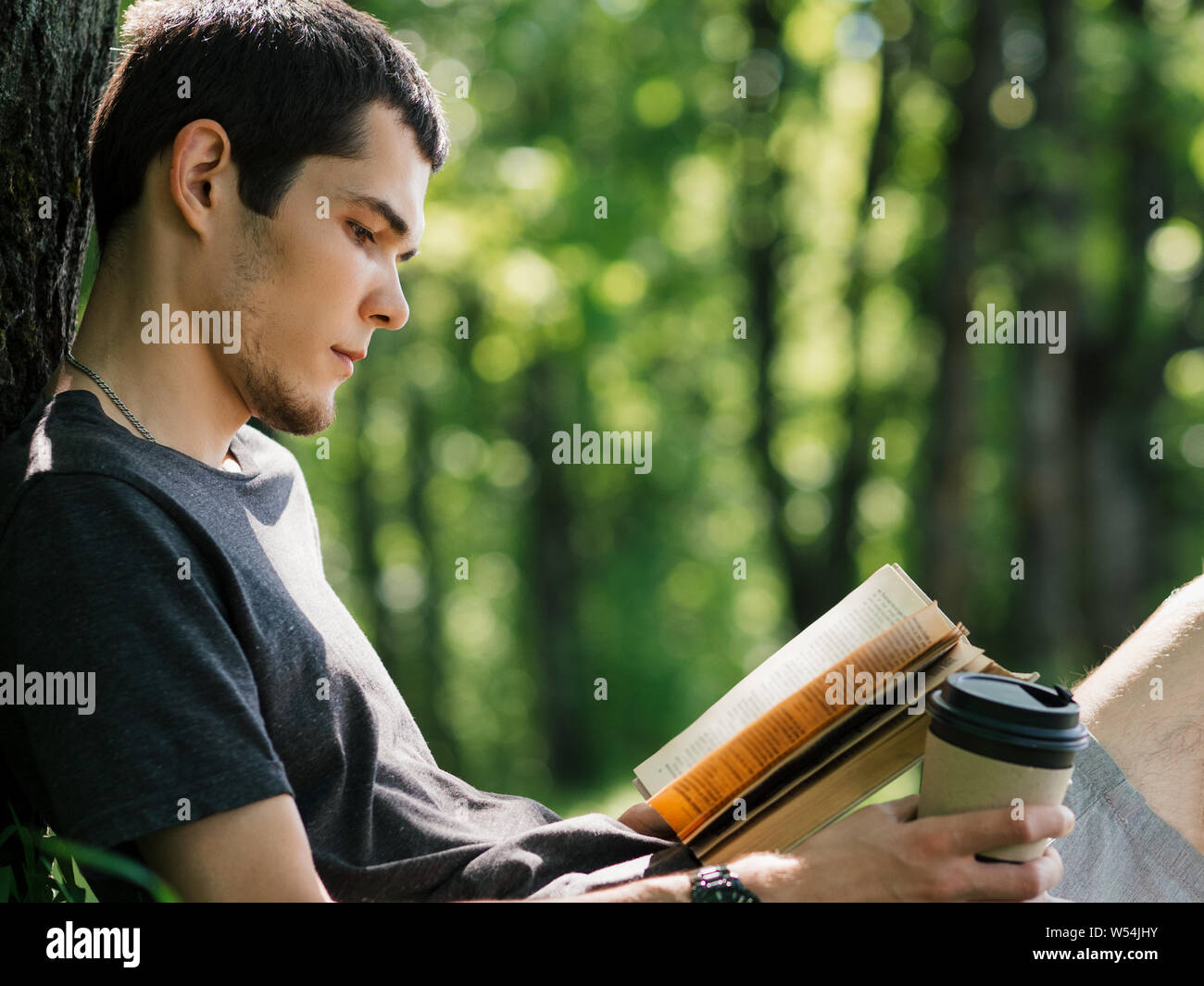 The guy reading a book in the morning in the Park lying at the tree ...