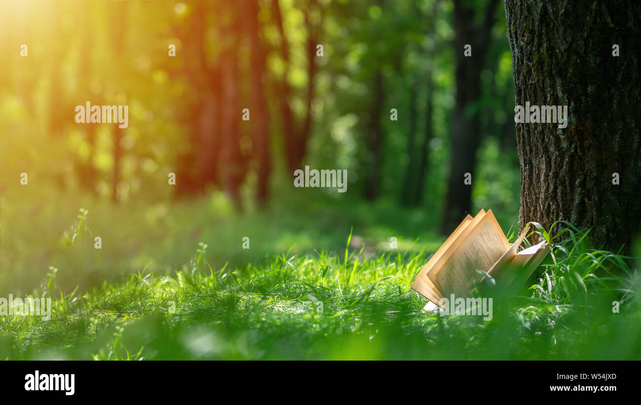 An open book lying in the Park near the tree. Layout with copyspace ...